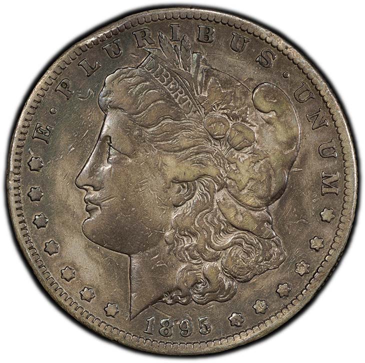 Rare Coins Currency US Coin Dealer Buying Selling: Morgan 1895 s